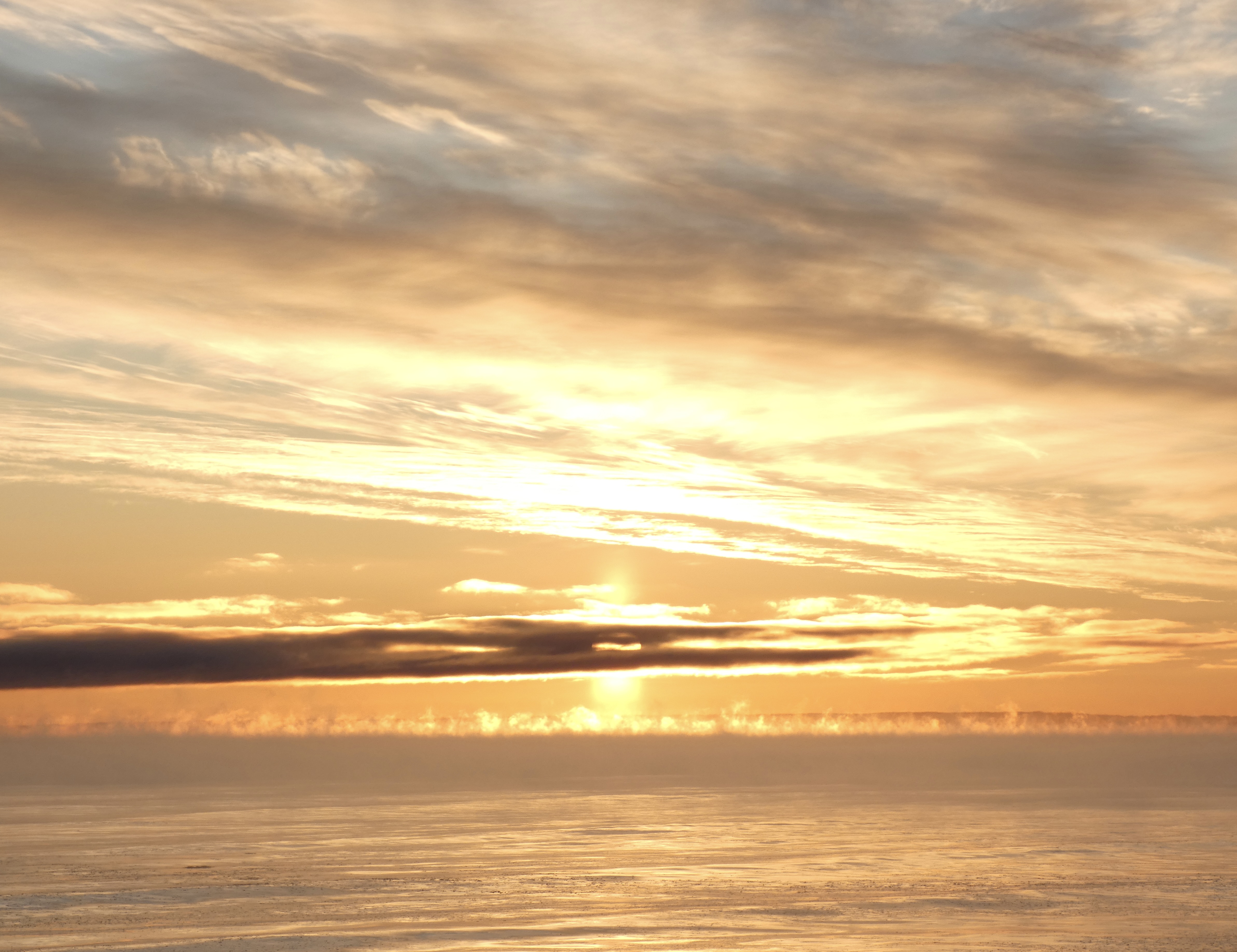 Home | Online Zen Training